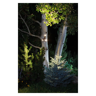 LED Outdoor and Landscape Lighting - Contemporary - Landscape - Denver ...
