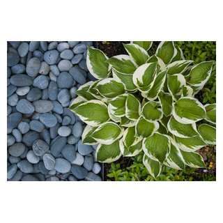 Ledgeside Pool - Traditional - Landscape - Boston - by a Blade of Grass ...