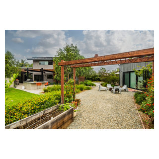 Leucadia Mid Century - Midcentury - Landscape - San Diego - by DZN ...