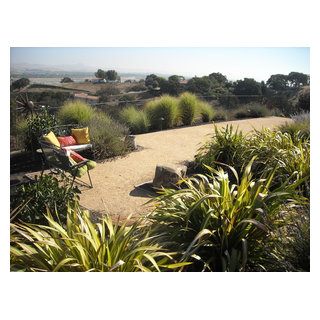 Linear DG Patio - Contemporary - Landscape - San Francisco - by Del ...