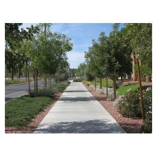 Linear Planting - Contemporary - Landscape - Las Vegas - by SW Design ...