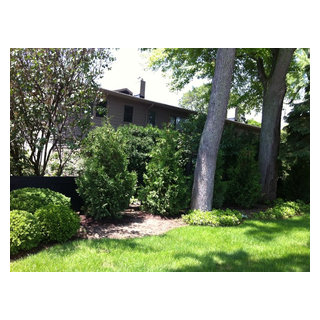 Living Wall Natural Screen - Traditional - Landscape - Detroit - by ...