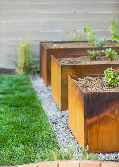 Fresh Design Elevates a Salt Lake City Backyard