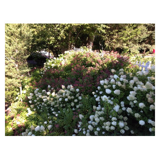 Long Beach Landscape Renovation - Beach Style - Landscape - Chicago ...