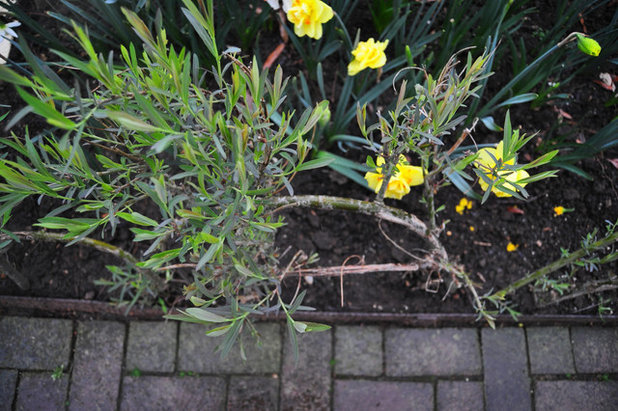 Vegetable Growing Lessons From Longwood Gardens