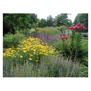 Lush Front Yard Gardens - Traditional - Landscape - Grand Rapids - by ...