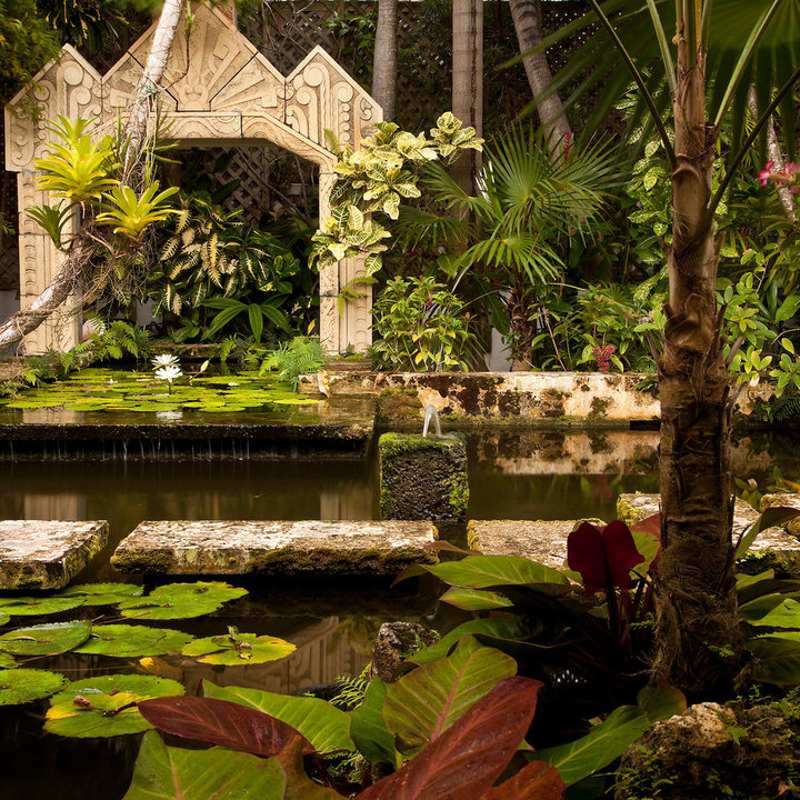 75 Beautiful Small Tropical Garden Ideas & Designs - July 2022 | Houzz AU