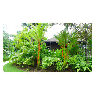 Luxury Eco Resort - Tropical - Landscape - Other - by ANDRES MONTERO LANDSCAPE ARCHITECTURE ...