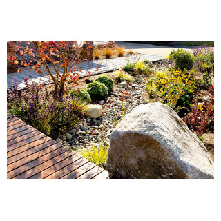 Magnolia Front Yard - Contemporary - Landscape - Seattle - by Banyon ...