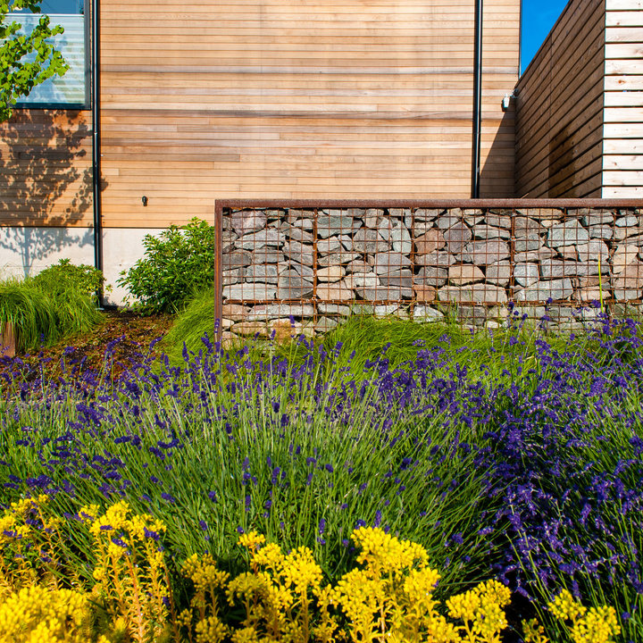 75+ Gartenmauer Ideen und Bilder | Houzz DE
