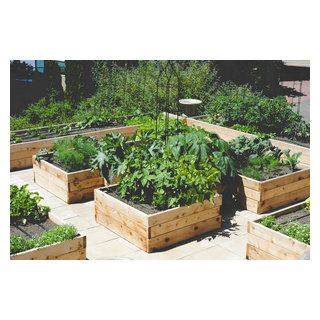 Magnolia Rooftop Kitchen Garden - Traditional - Landscape - Seattle ...