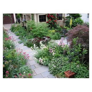 Medicinal Herb Garden - Mediterranean - Landscape - San Diego - by ...