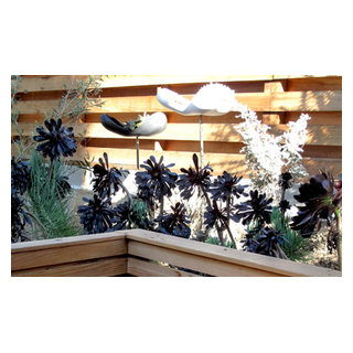 Meridian Terrace - Contemporary - Landscape - Los Angeles - by Carolina ...