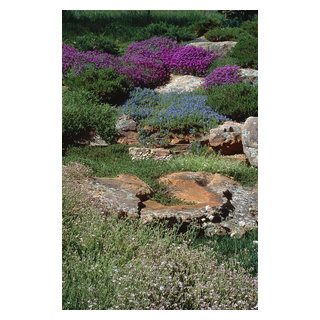 Merit of Family Life - Eclectic - Landscape - Denver - by MARPA DESIGN ...