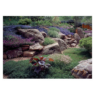 Merit of Family Life - Eclectic - Landscape - Denver - by MARPA DESIGN ...