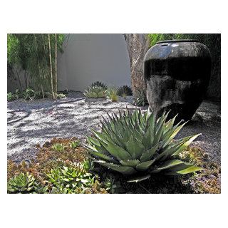 Mexican Native Terrace - Asian - Landscape - Mexico City - by Sozo ...