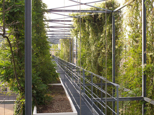 A Vertical Park in Zurich Greens Up the Grid