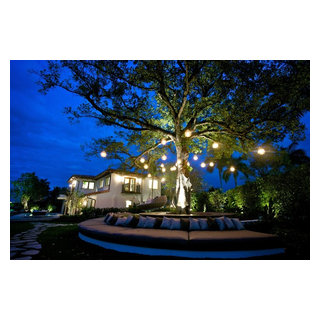 Miami Beach "Tree of Life" - Transitional - Landscape - Miami - by ...