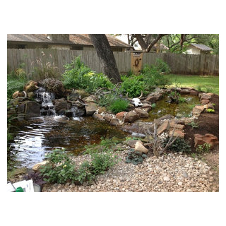 Michael's Backyard Pond with Waterfall and Bog Filter - Traditional ...