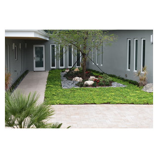 Mid Century Modern Home Landscaping - Contemporary - Landscape - Miami ...