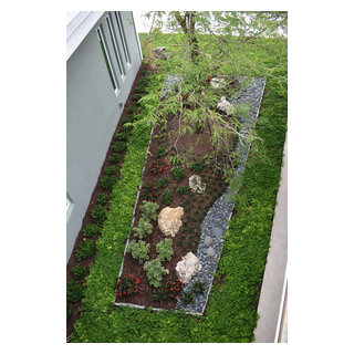 Mid Century Modern Home Landscaping - Contemporary - Landscape - Miami ...