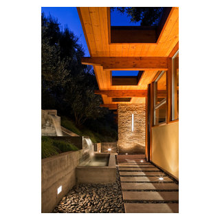 Mid-Century Modern - Contemporary - Landscape - Santa Barbara | Houzz