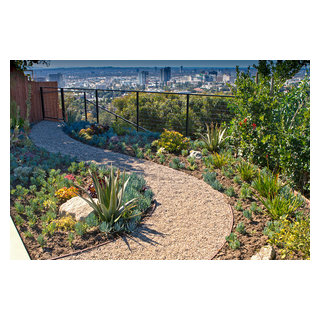 Mid Century Modern in the Hollywood Hills- Back Yard - Midcentury ...