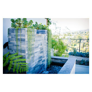 Mid Century Modern in the Hollywood Hills- Back Yard - Midcentury ...