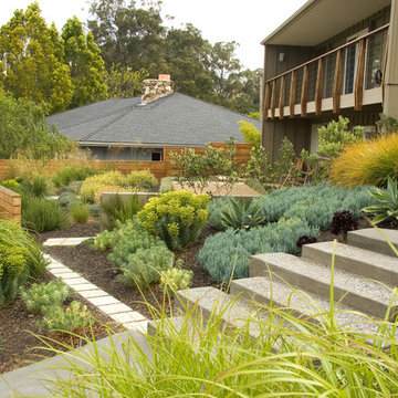 75 Mid-Century Modern Landscaping Ideas You'll Love - September, 2025 ...