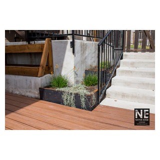 Midtown Commons Courtyard - Modern - Landscape - Austin - by Native ...