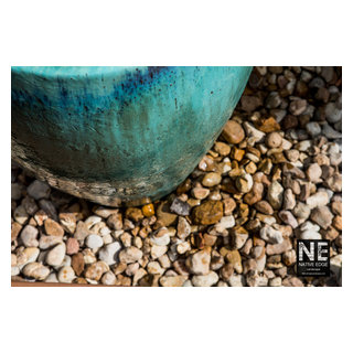 Midtown Commons Courtyard - Modern - Landscape - Austin - by Native ...