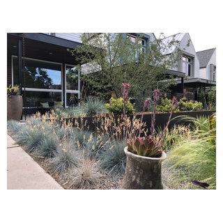 Mini Modern - Modern - Landscape - Denver - by flora Distinctive ...