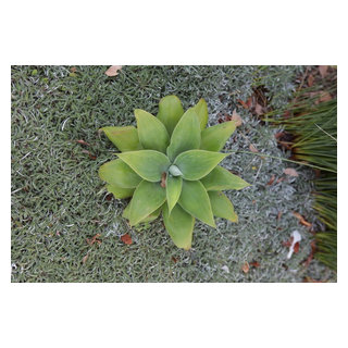 Mix Colors and Textures - Mediterranean - Landscape - Los Angeles - by ...