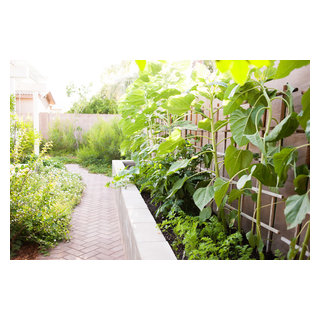 Modern backyard - Gilbert (Renovation) - Transitional - Landscape ...