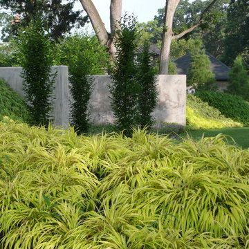 Grass Berm - Photos & Ideas | Houzz