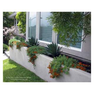 Modern Landscape and Planters with Architectural Plants - Greenbrae, CA ...