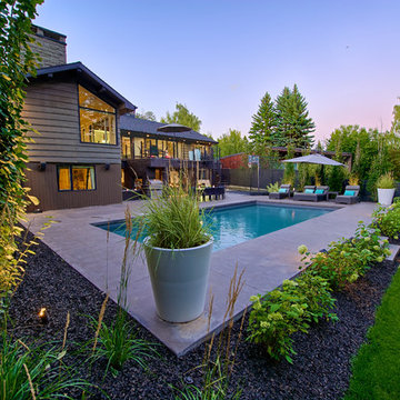 75 Modern Landscaping Ideas You'll Love - December, 2024 | Houzz