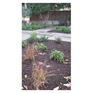 Modern no lawn front yard! - Contemporaneo - Giardino - Houston - di ...