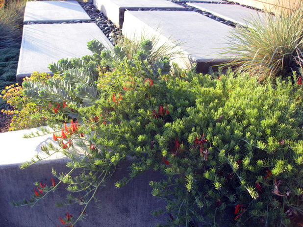 Inside Houzz: A Waterfront Property Ditches the Grass for a Garden