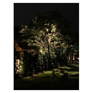 Moonlighting Effect (Tree Lighting) - Landscape - Dallas - by Dallas ...