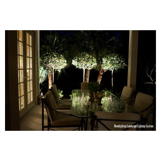 Moonlighting Sets A Sea Pines Landscape Aglow - Contemporary ...