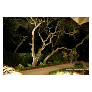 Moonlighting Sets A Sea Pines Landscape Aglow - Contemporary ...