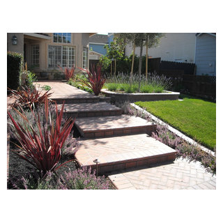 Mortared Brick Entry - Contemporain - Jardin - San Francisco - par Del ...
