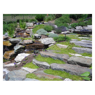 Moss Steps - Eclectic - Landscape - DC Metro - by Poole's Stone and ...