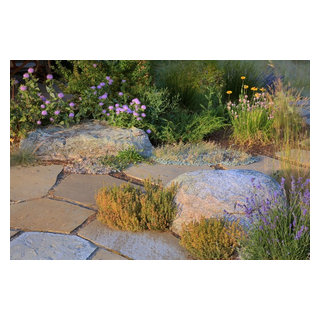 Mountain Meadow - Landscape - Other - by Beth MacFawn Landscape Design ...