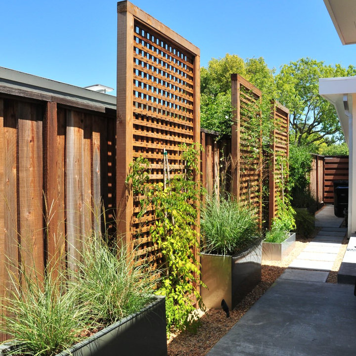 75 Contemporary Landscaping Ideas You'll Love - October, 2025 | Houzz