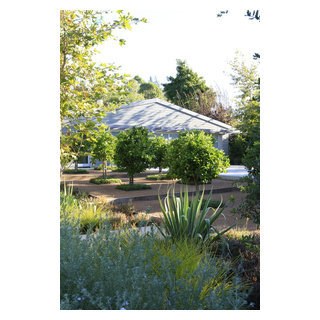 MTLA - Mendel Residence - Modern - Landscape - Los Angeles - by User ...