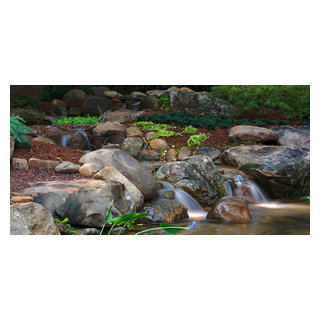 multiple ponds and waterfalls - Traditional - Landscape - Atlanta - by ...