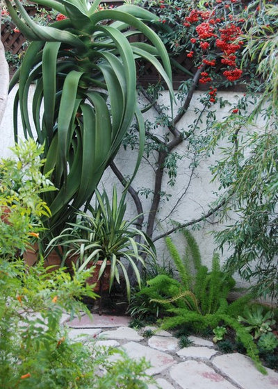 My Houzz: Early-California Style for a 1920s Home and Garden