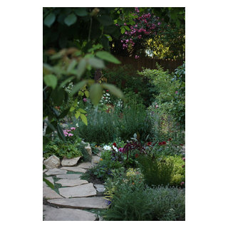 My own garden - Traditional - Landscape - Sacramento - by Roberta ...